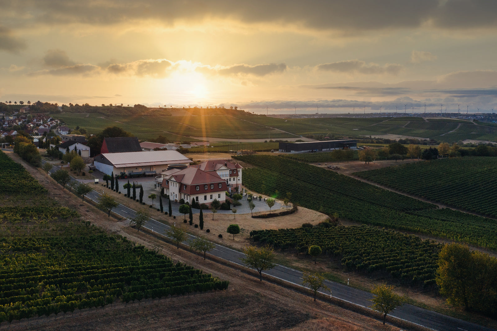 Neverland Vineyards | Organic wine made beyond imagination